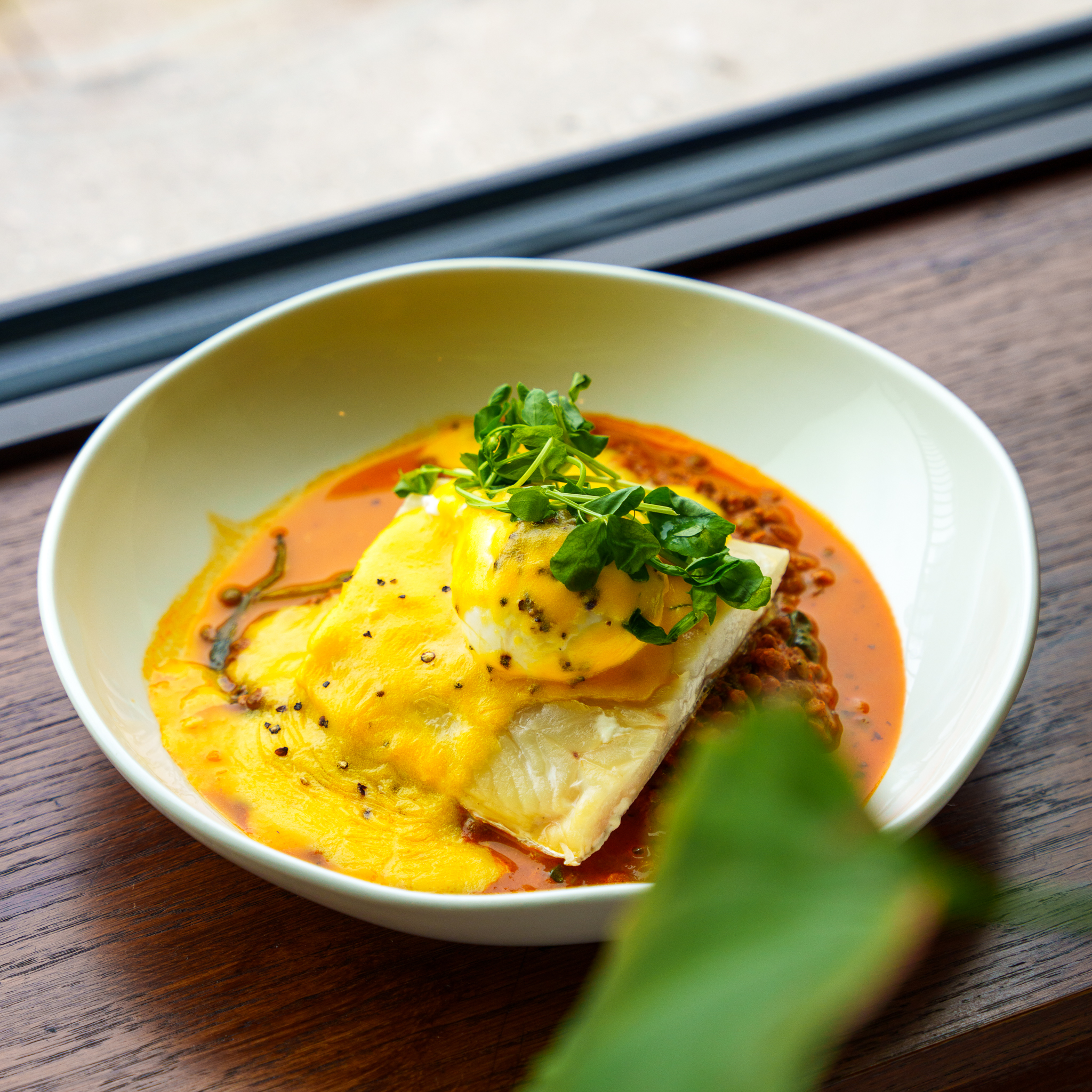 Weekend Brunch at Kitty Hawk - ETM Collection