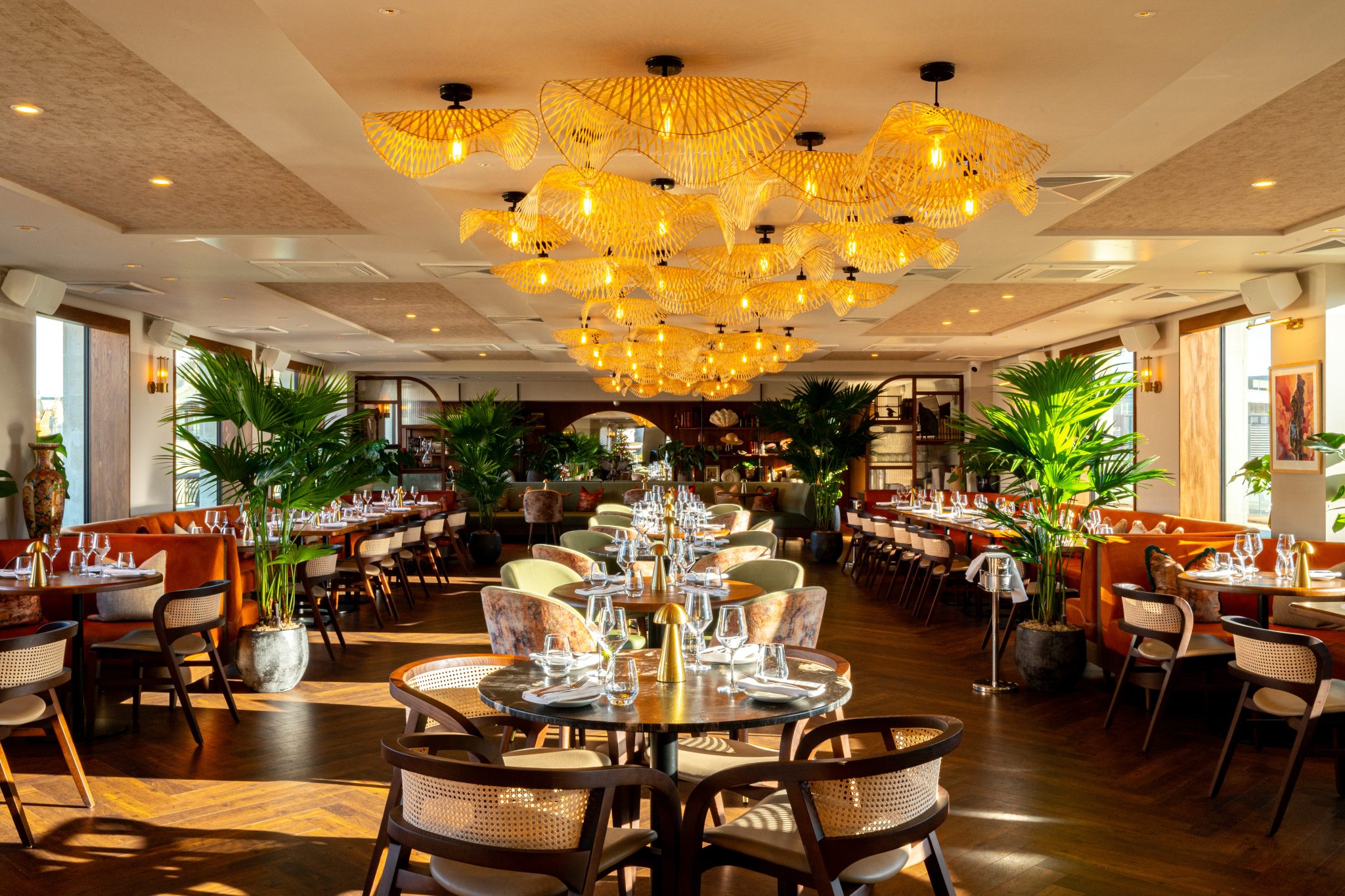 Kitty Hawk | Rooftop Restaurant & Terrace | ETM Collection